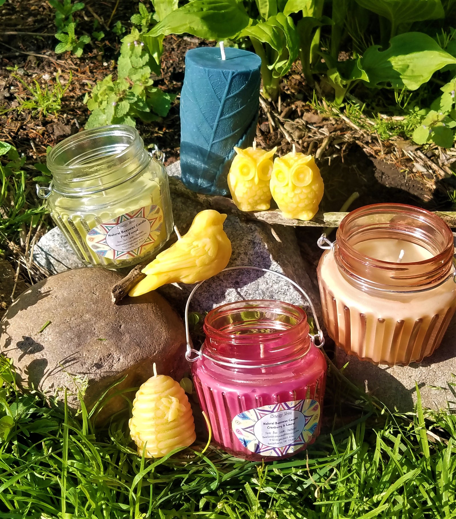 Sassy Bee Honey | Sassy Bee