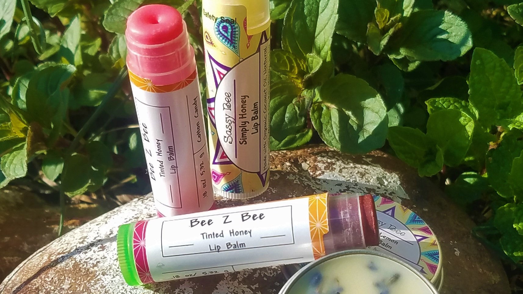 Sassy Bee Honey | Sassy Bee